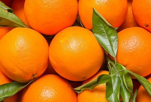 Seville Orange Marmalade – Robertshaw's Farm Shop