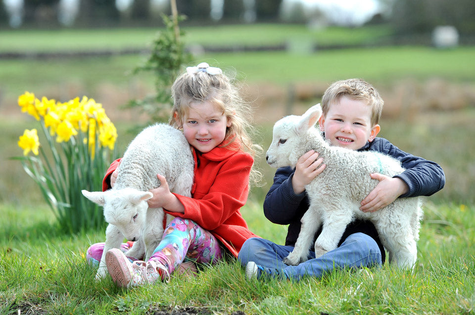 Animal Croft Thornton – Robertshaw's Farm Shop